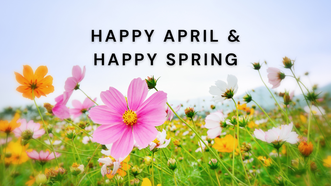 Happy April & Happy Spring - Bloom Hemp